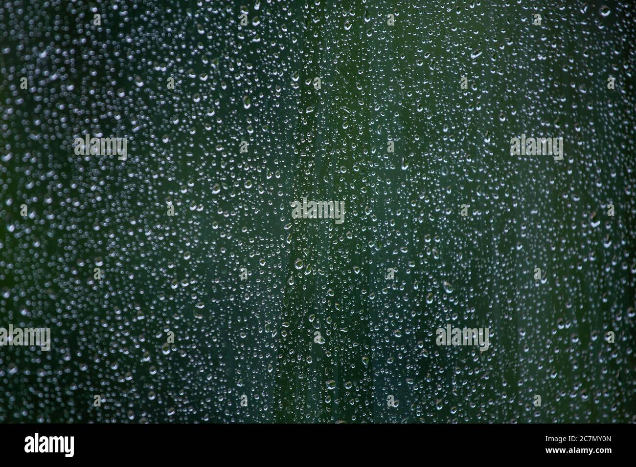 Abstract background of wet window glass with rain water drops. Summer green blurred backdrop and ...