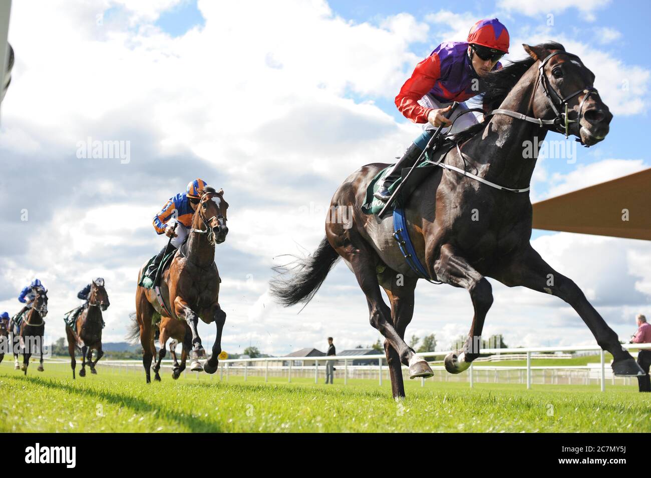 Romanised horse hi-res stock photography and images - Alamy