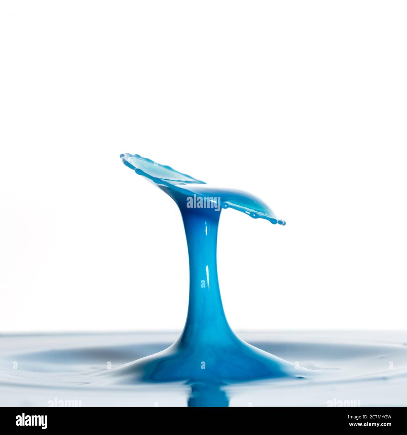 Stunning unique abstract water splash photography images with vibrant ...