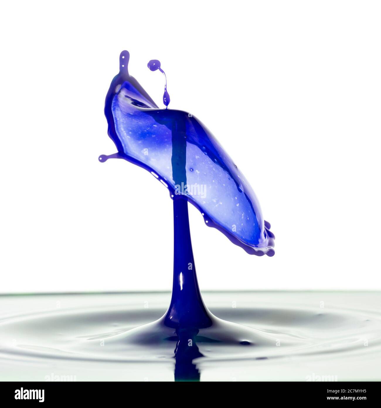 Stunning unique abstract water splash photography images with vibrant ...