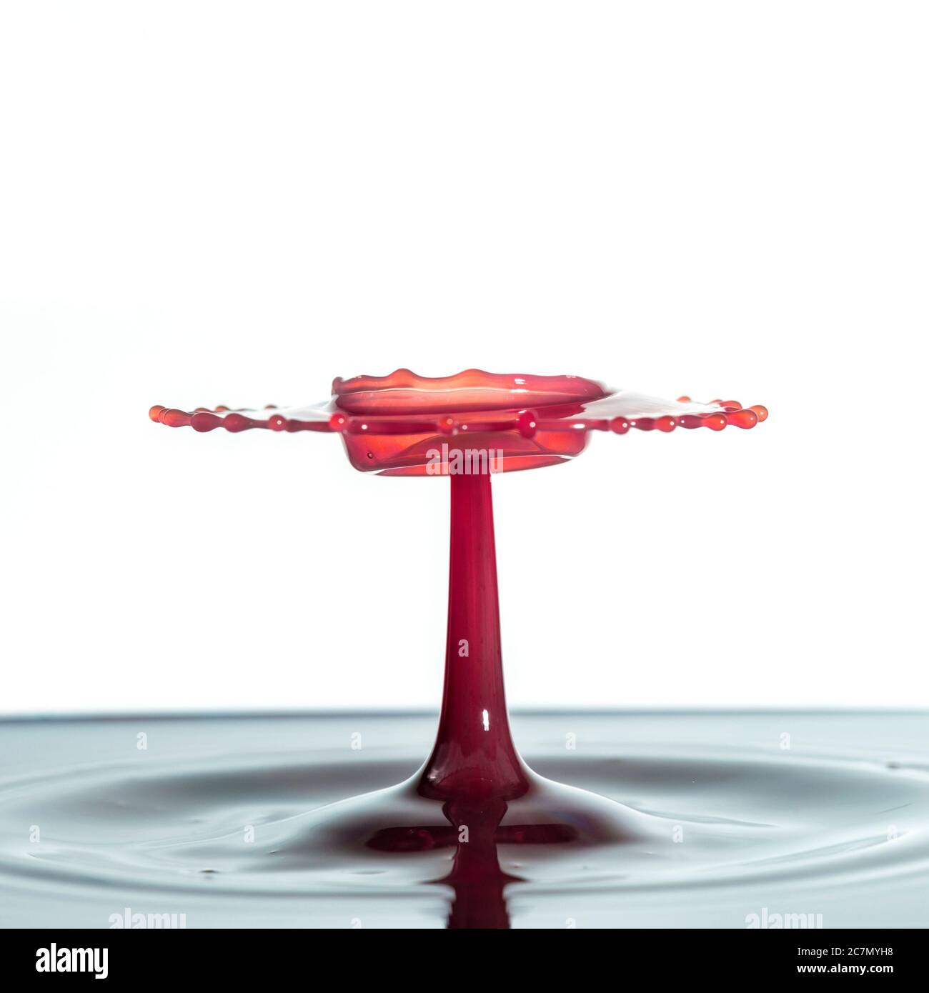 Stunning unique abstract water splash photography images with vibrant ...