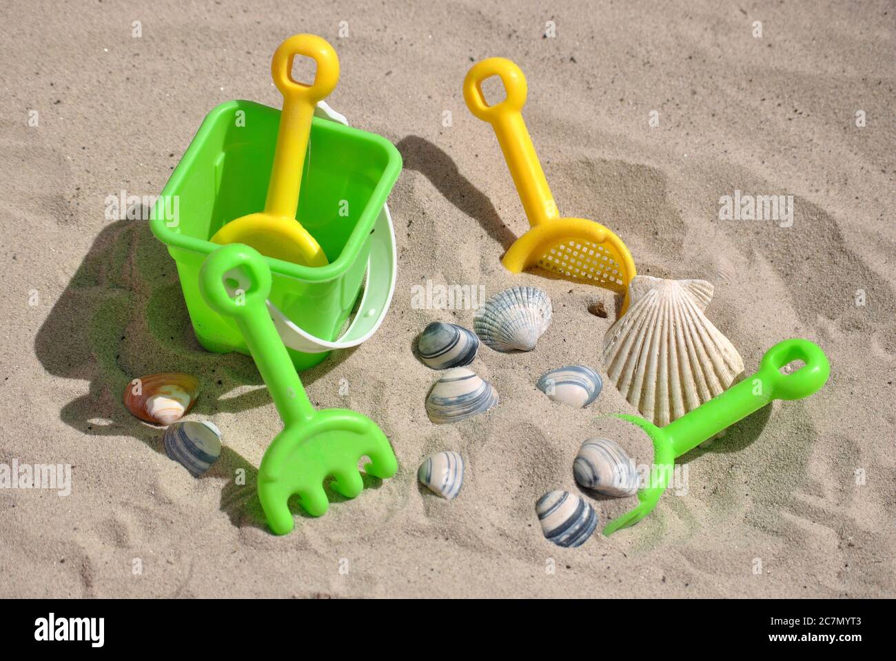 The construction of seashell hi-res stock photography and images - Alamy