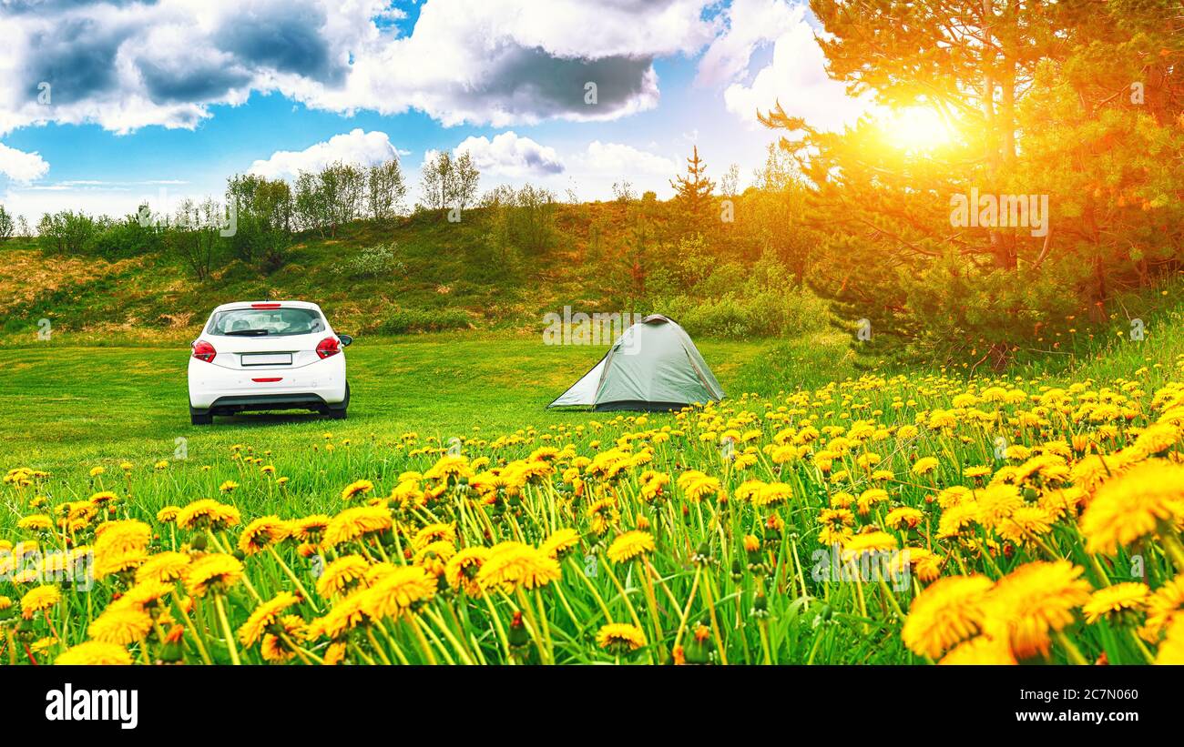 Beautiful landscape of meadow and flowers with modern car parked next ...