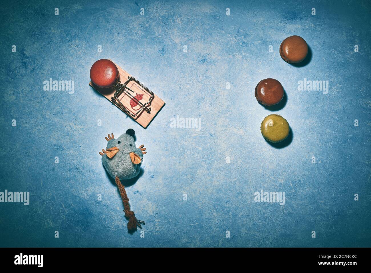 Sweet mouse hi-res stock photography and images - Alamy