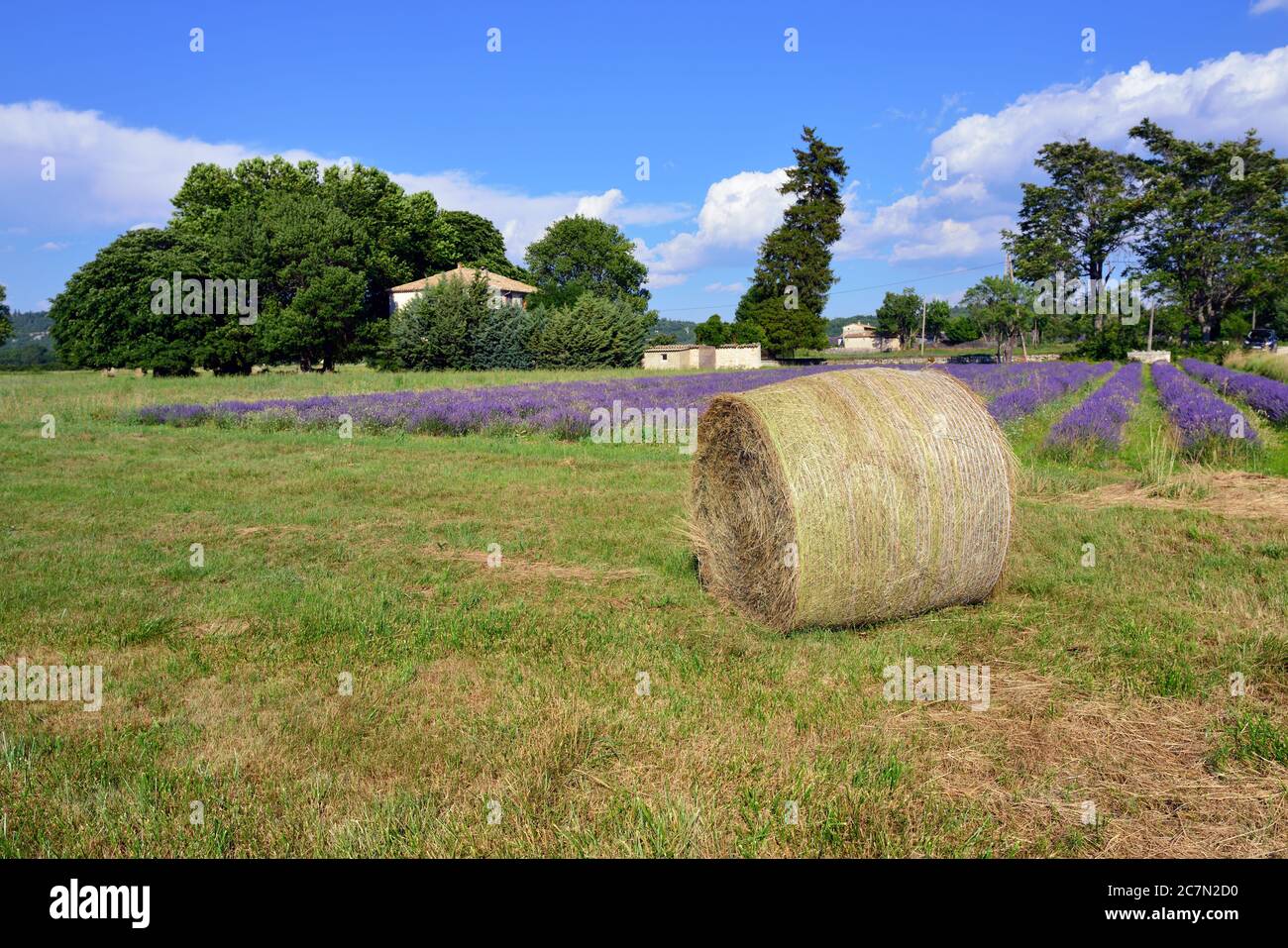 Provence landscape. Haystack on the rural field at evening time Stock ...
