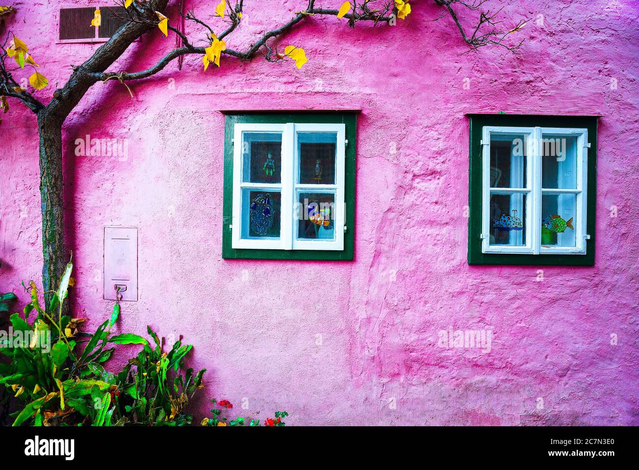 Typical Austrian Alpine houses. Tree in autumn against pink wall ...