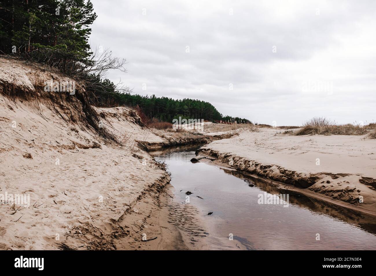 River flowing through the sand next to trees under the clouded sky ...