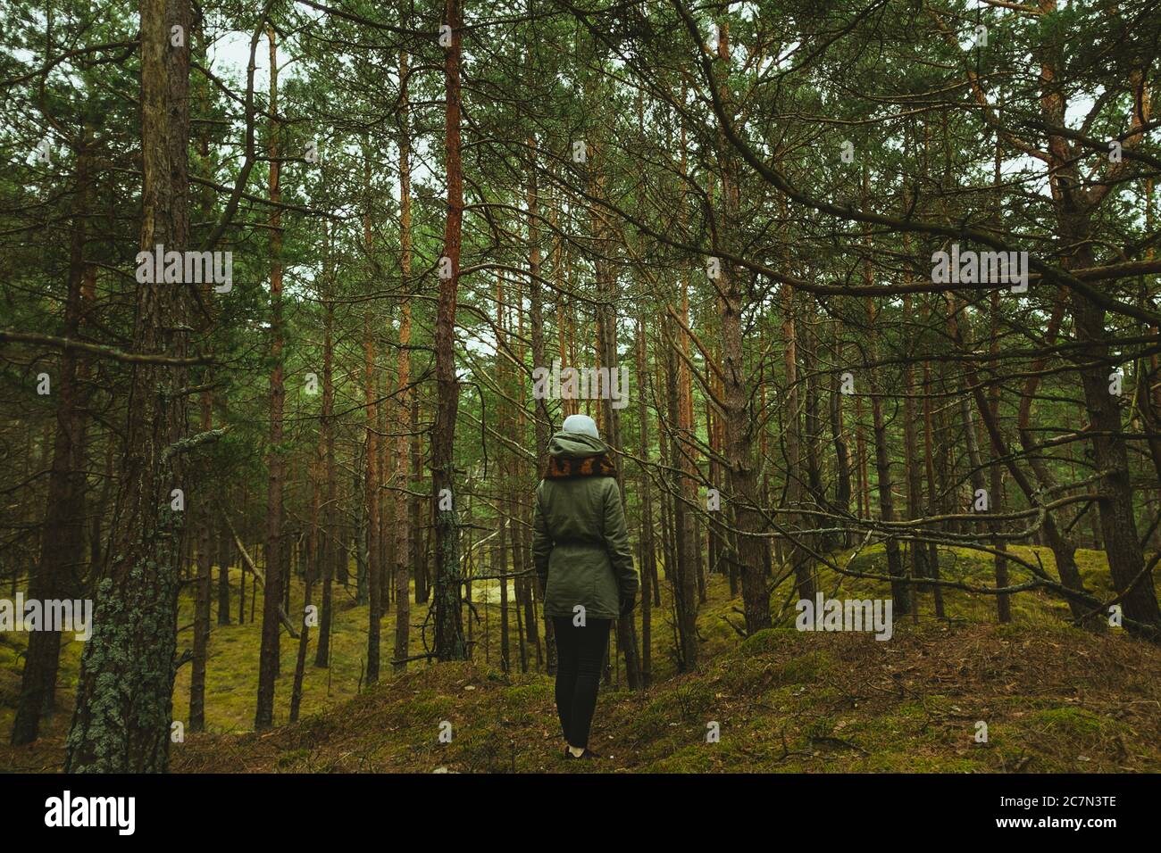 Woman walking through the trees of the forest Stock Photo - Alamy