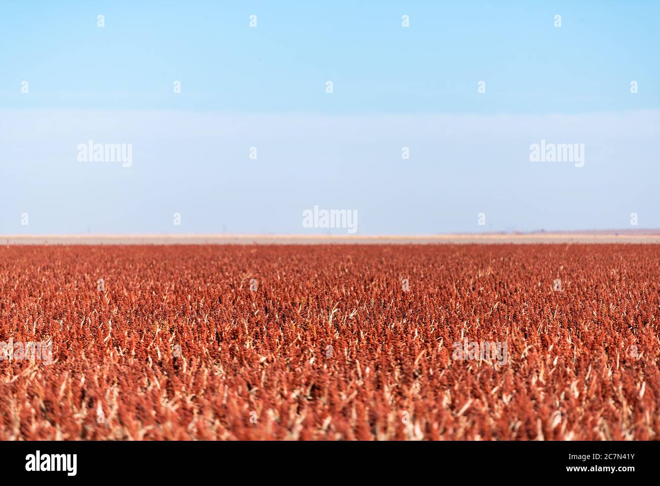 Kansas countryside rural country with farmland farm field in autumn ...