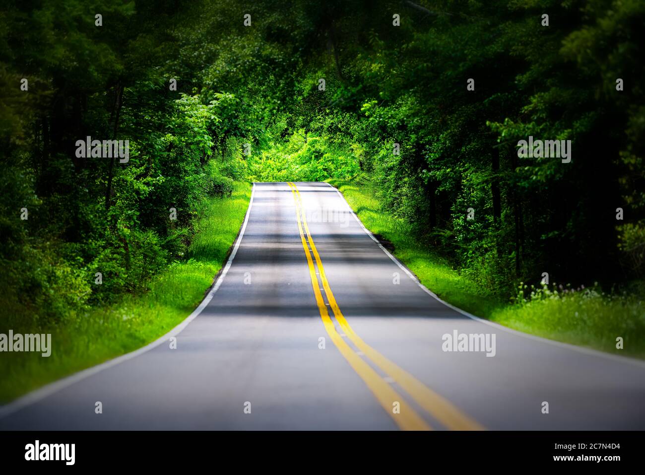 Tallahassee road hi-res stock photography and images - Alamy