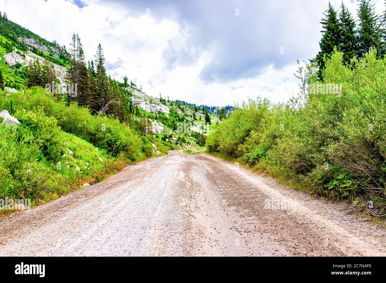 Albion Basin, Utah summer with dirt road in summer in Wasatch mountains ...