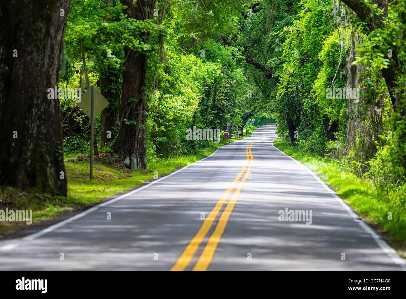 Tallahassee, Florida empty road with mailboxes on Miccosukee scenic ...