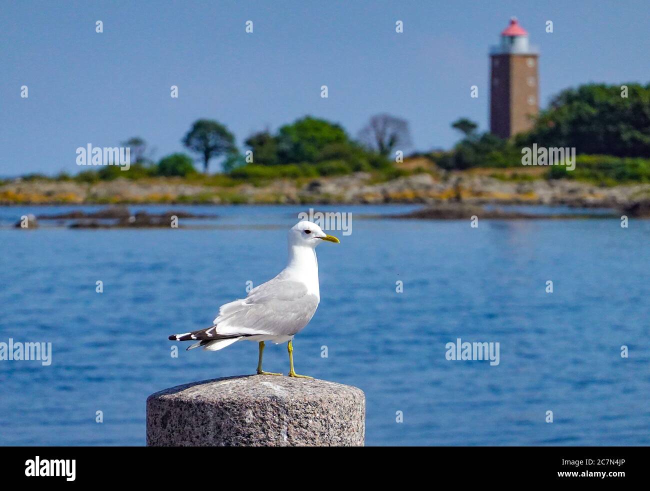 Lighthouse of svaneke on bornholm hi-res stock photography and images ...