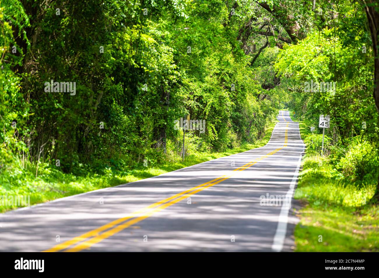 Tallahassee, Florida USA Miccosukee street scenic canopy road with ...