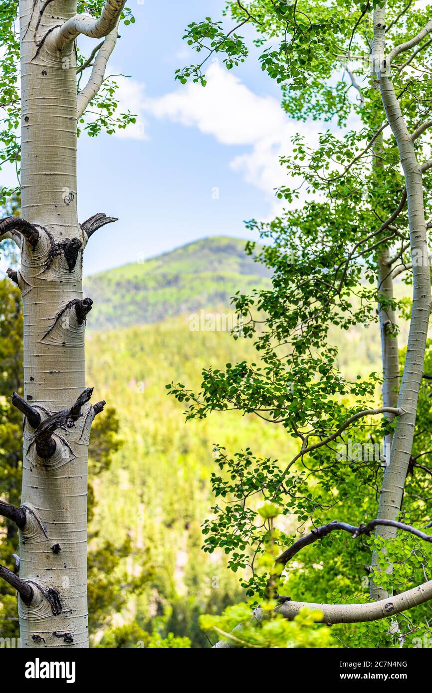 Santa fe national forest hi-res stock photography and images - Alamy
