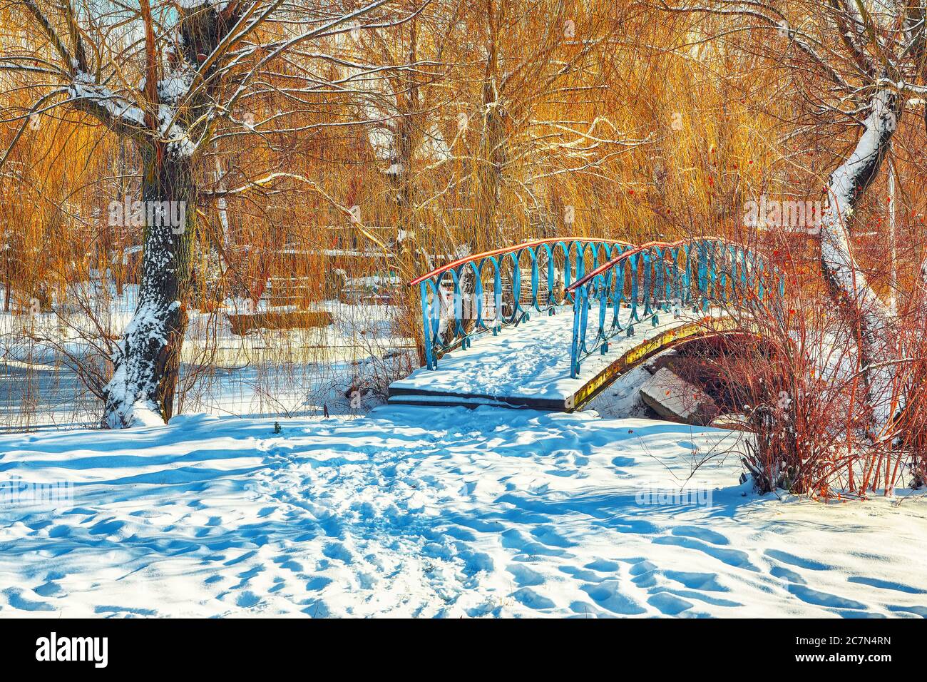 Winter frosty trees and old snowy bridge in the winter park. Winter nature with winter snowy ...