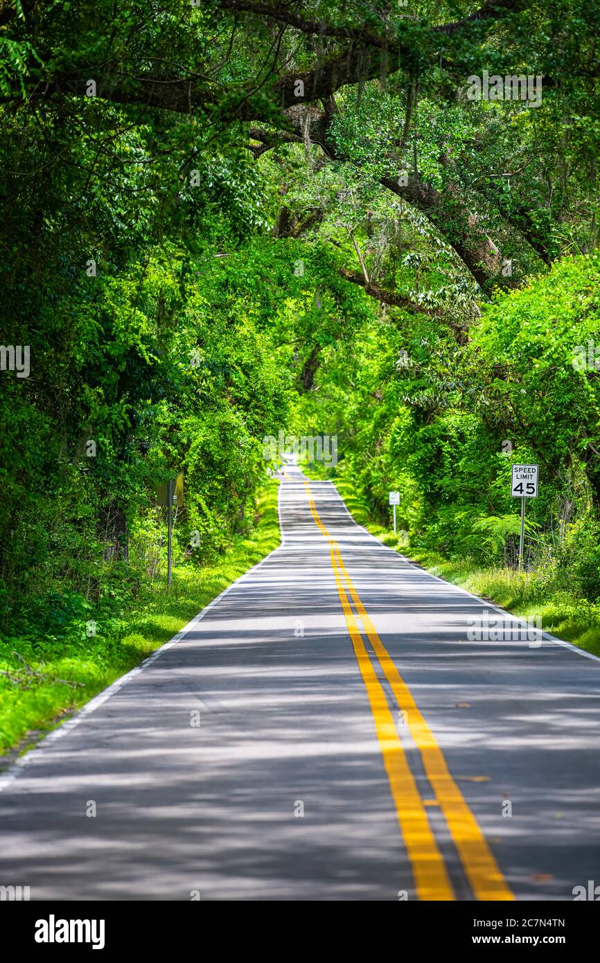 Tallahassee, Florida empty road vertical view with do not pass sign on ...