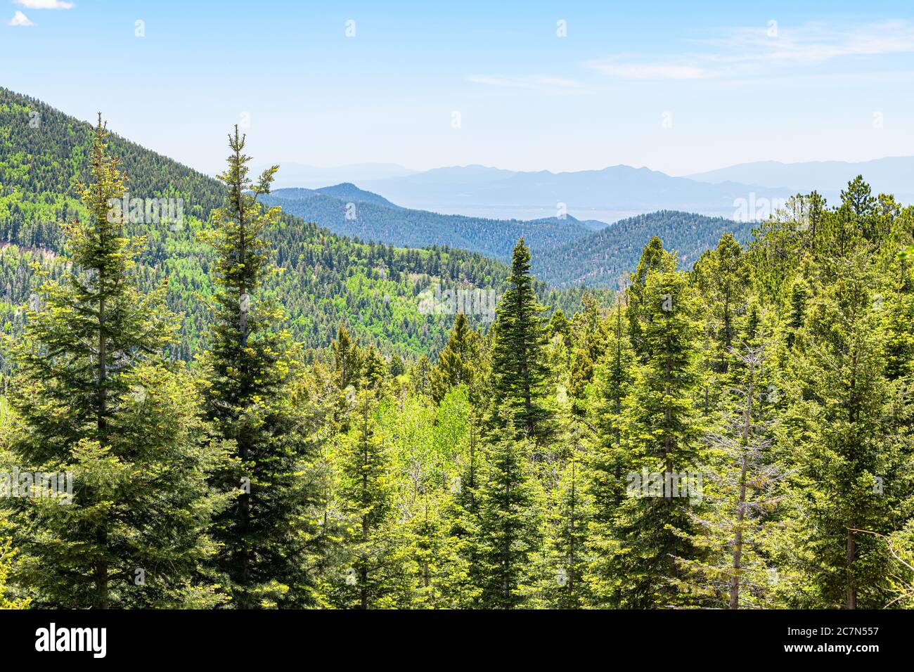 Santa Fe National Forest park with Aspen Vista Picnic area in Sangre de ...