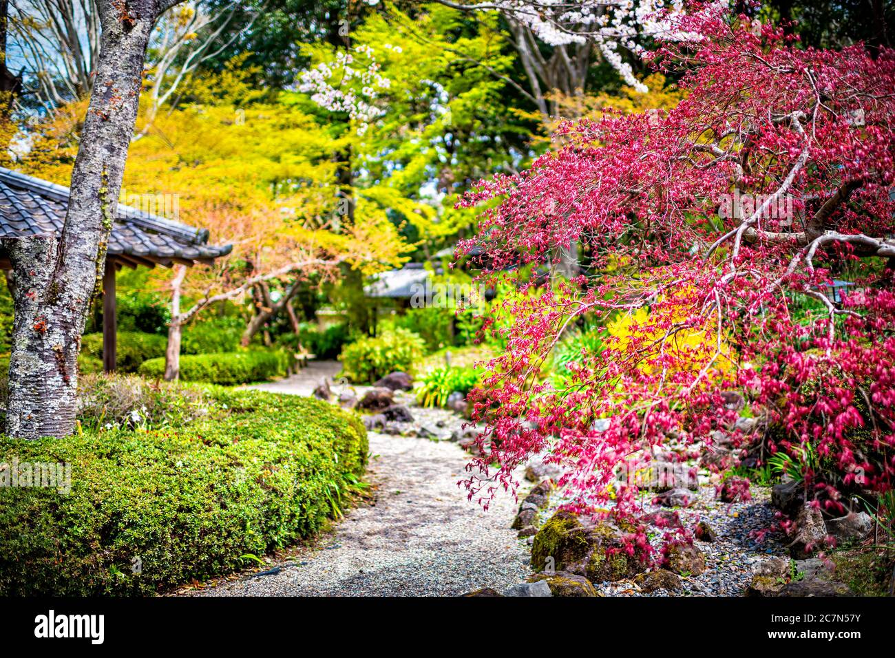 Nara, Japan Yoshikien garden with traditional Japanese footpath stone ...
