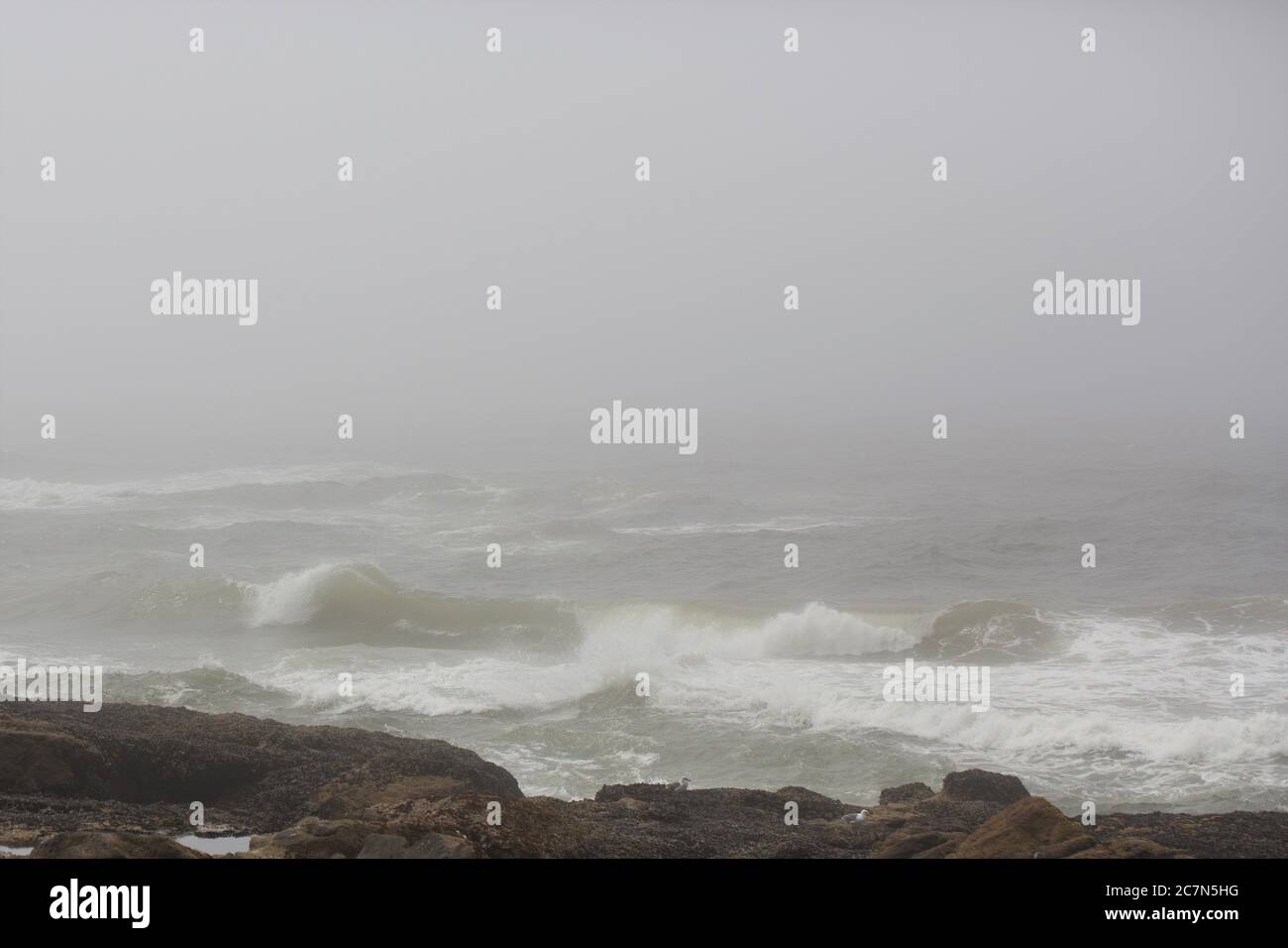 Oregon coast pacific northwest yachats hi-res stock photography and ...
