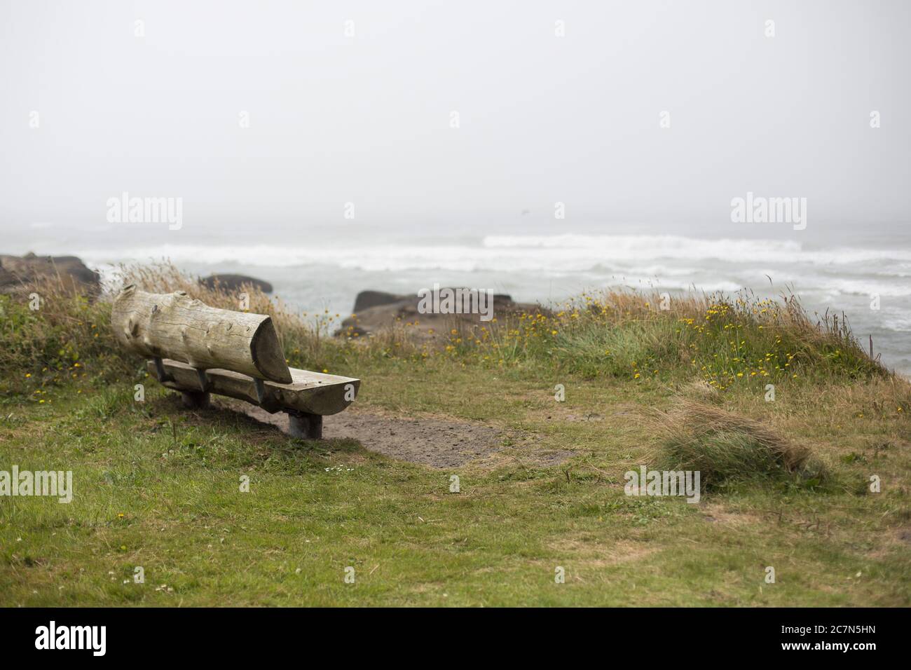 Log bench hi-res stock photography and images - Alamy