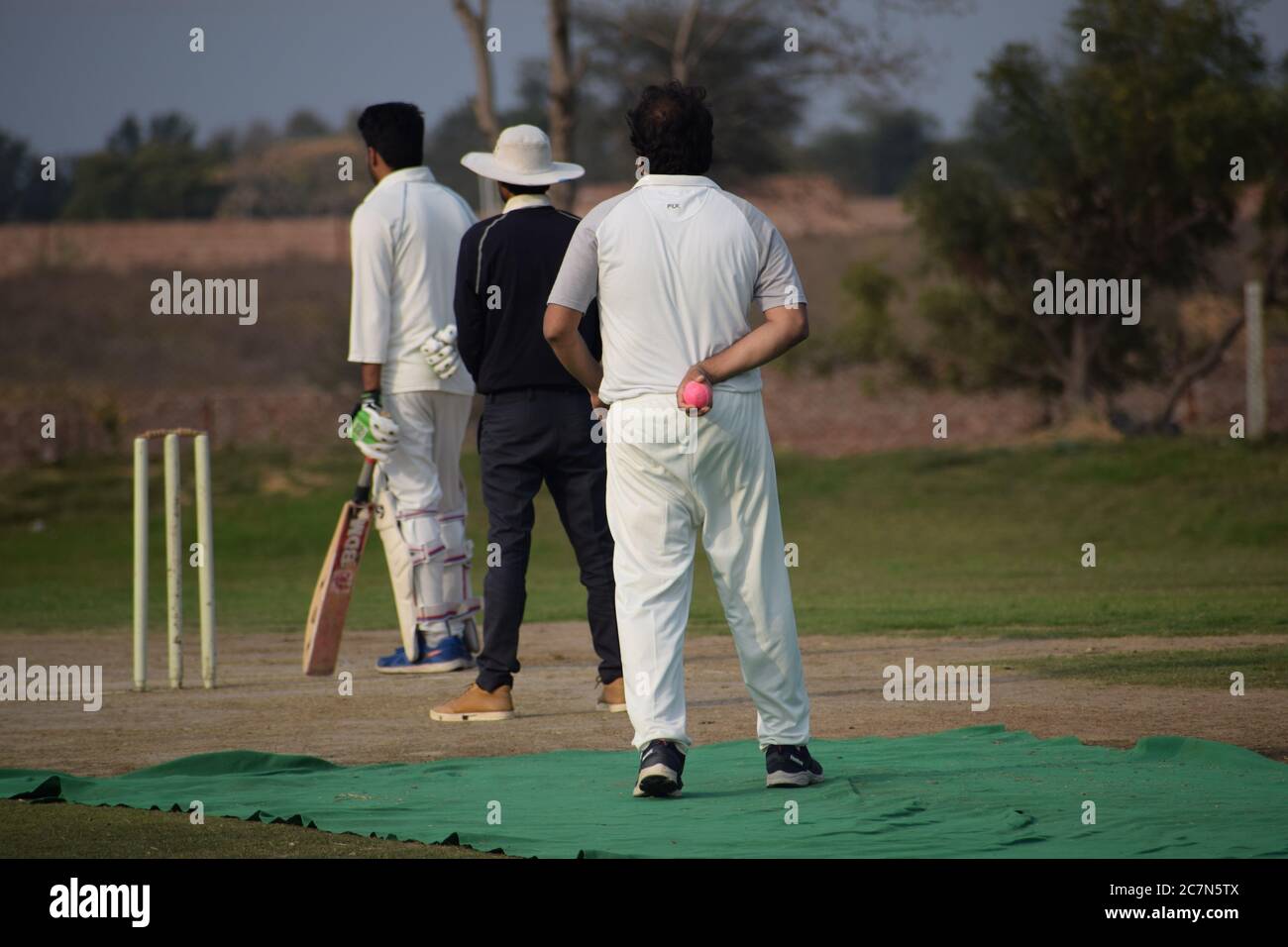 Full length of cricketer playing on field during sunny day, Cricketer ...