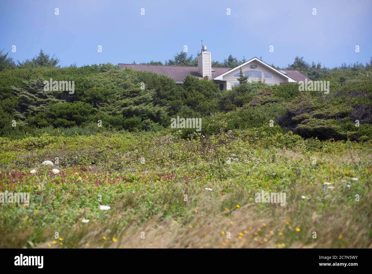 Oregon greenery hi-res stock photography and images - Alamy