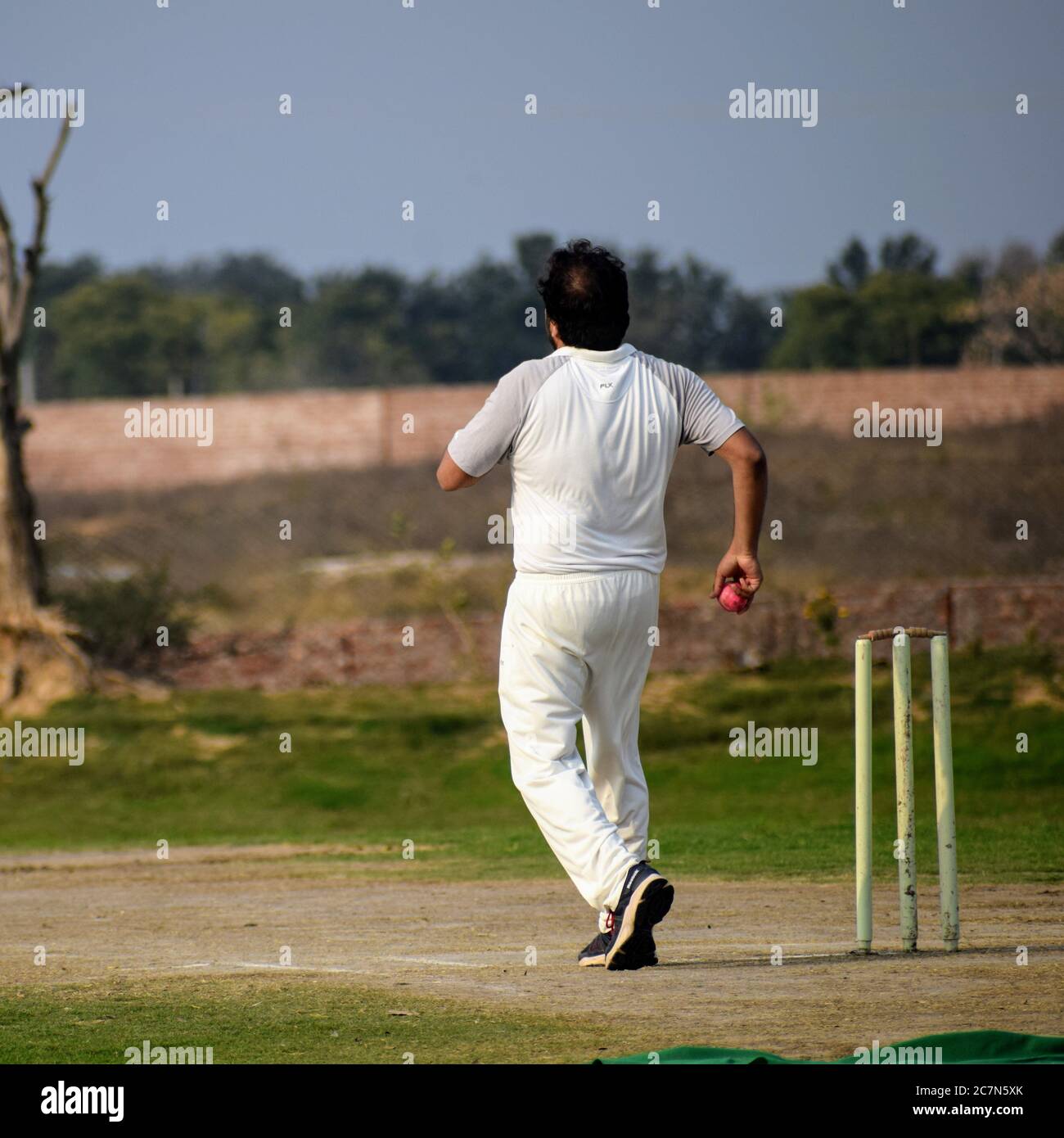 Full length of cricketer playing on field during sunny day, Cricketer ...