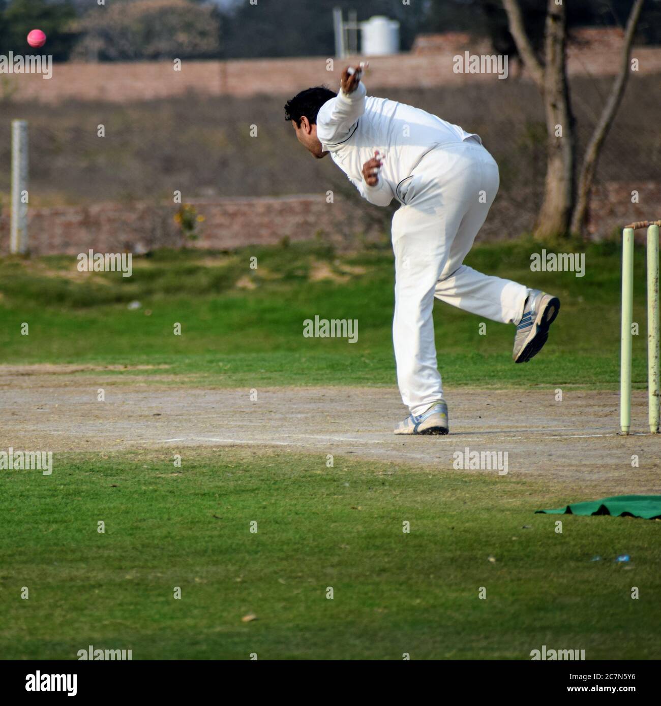 Full length of cricketer playing on field during sunny day, Cricketer ...