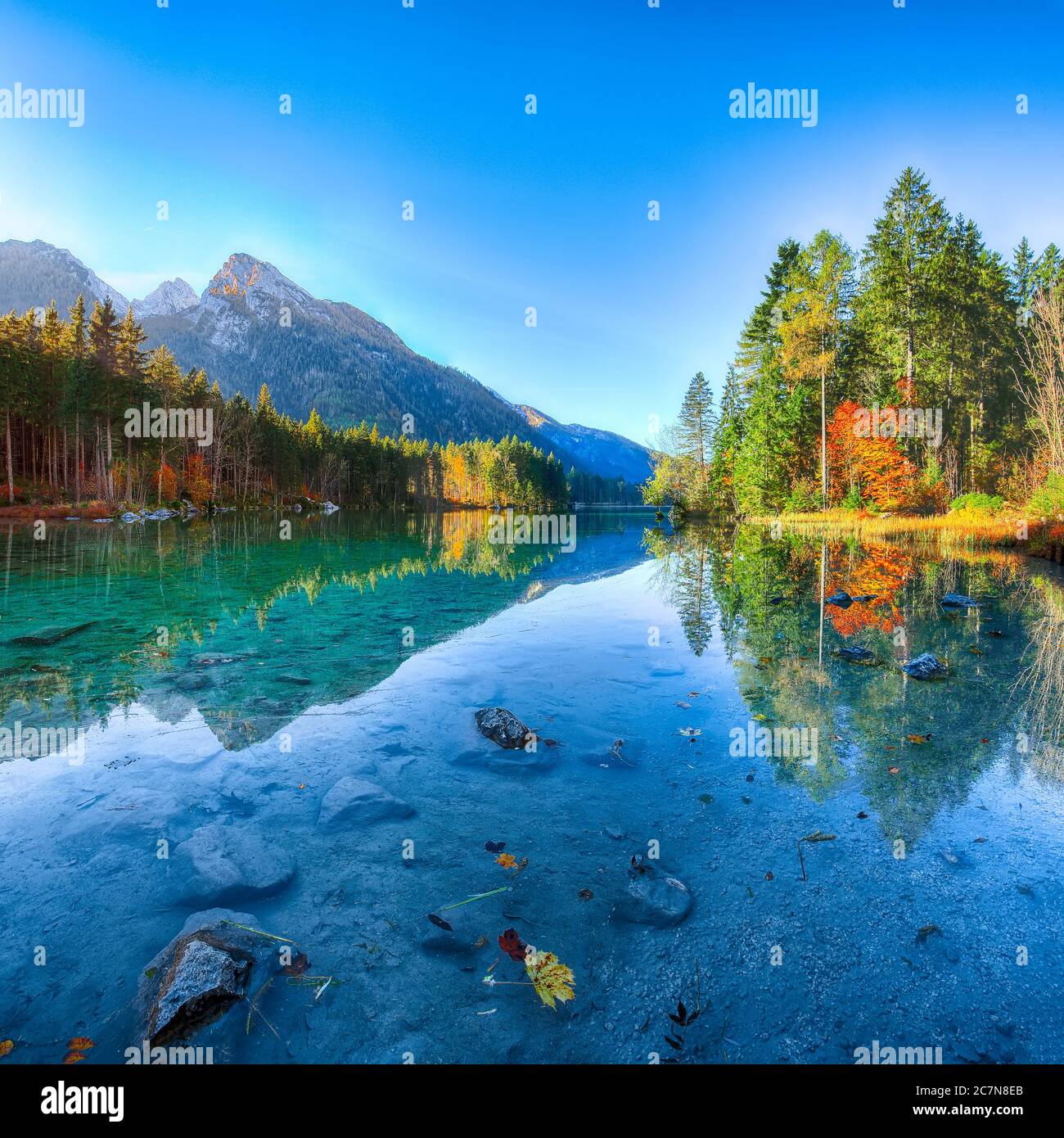 Fantastic autumn sunrise of Hintersee lake. Beautiful scene of trees ...