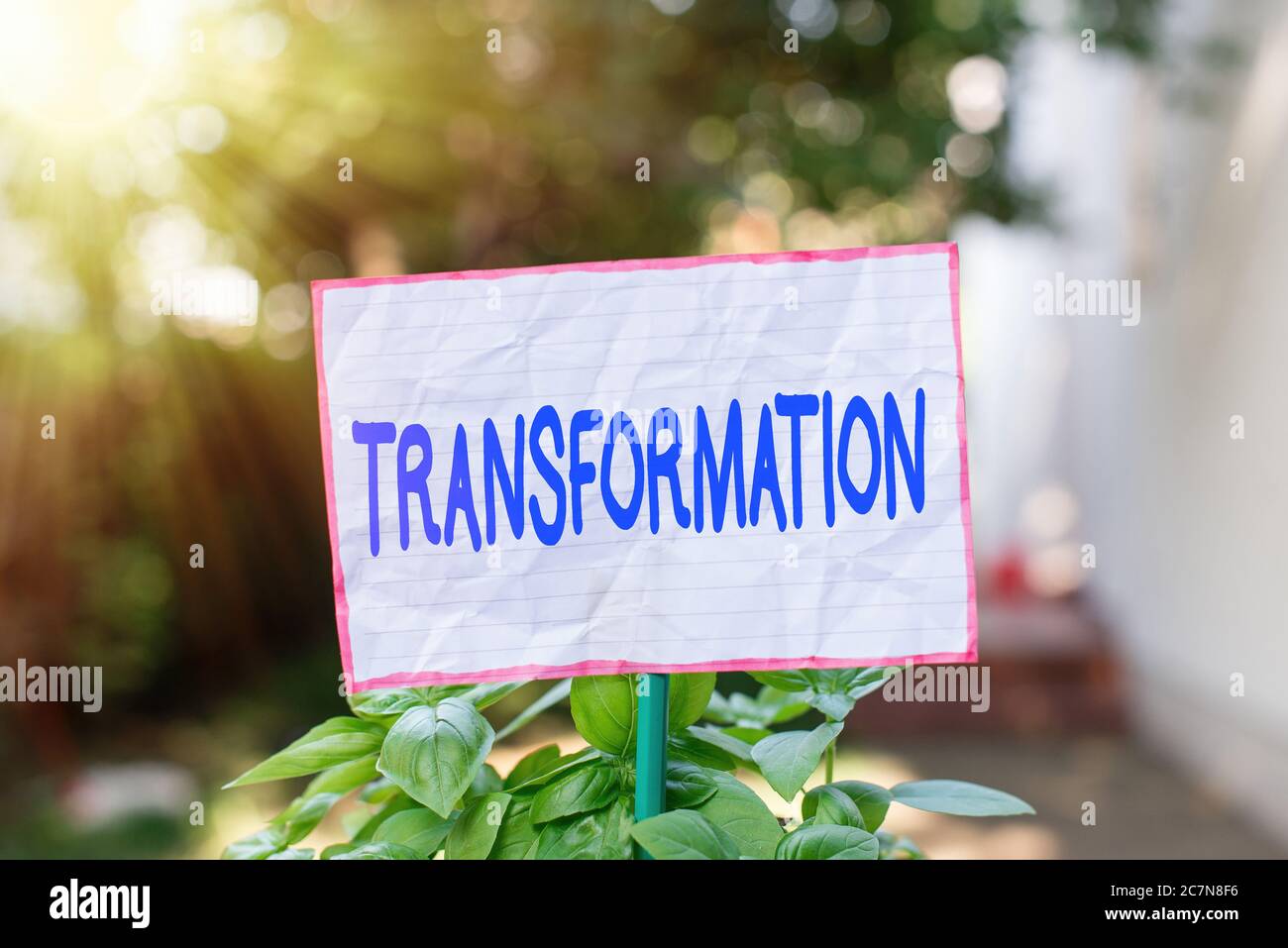 Conceptual hand writing showing Transformation. Concept meaning a ...