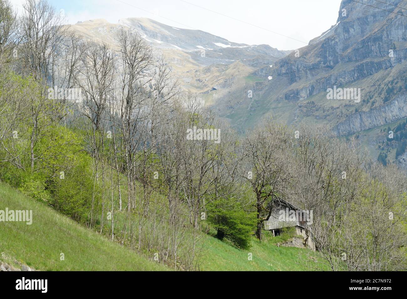 Hut built hi-res stock photography and images - Alamy