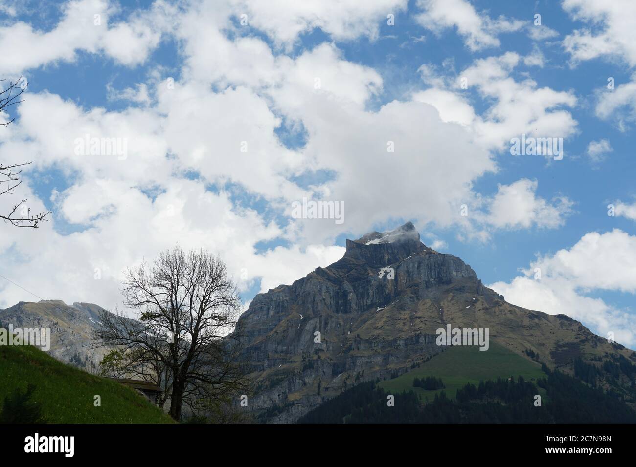 A landscape with mountain called Hahnen and a lonely tree in the ...