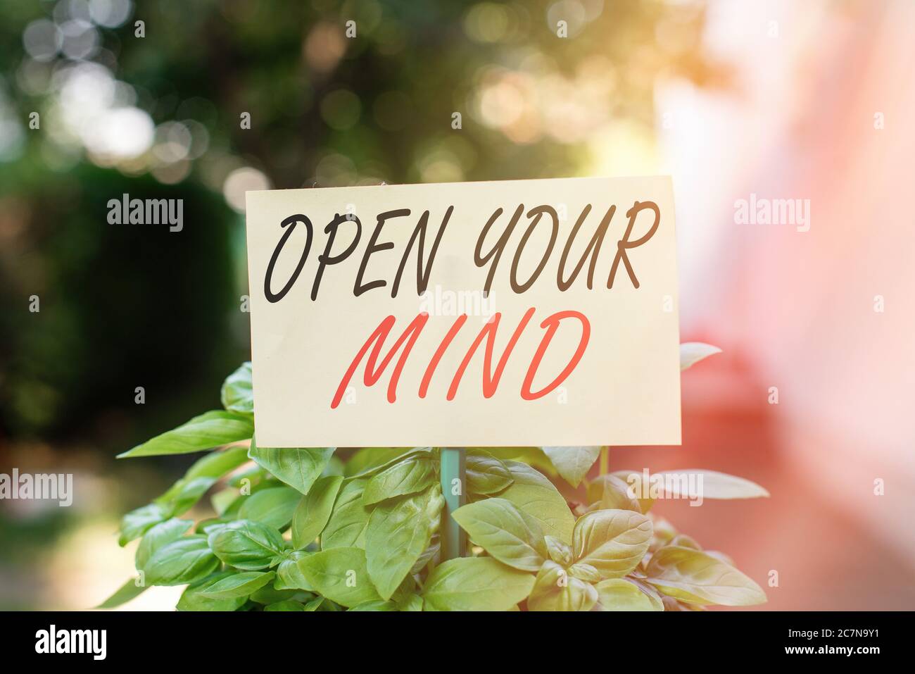 Handwriting text writing Open Your Mind. Conceptual photo to be able to ...