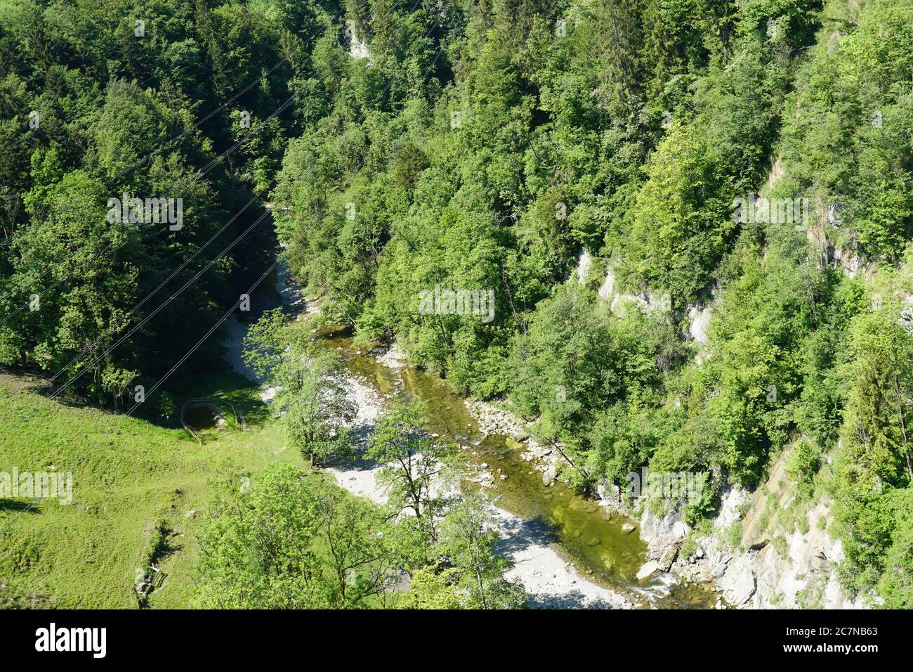 Mountain stream in aerial view streaming through thick forests with ...