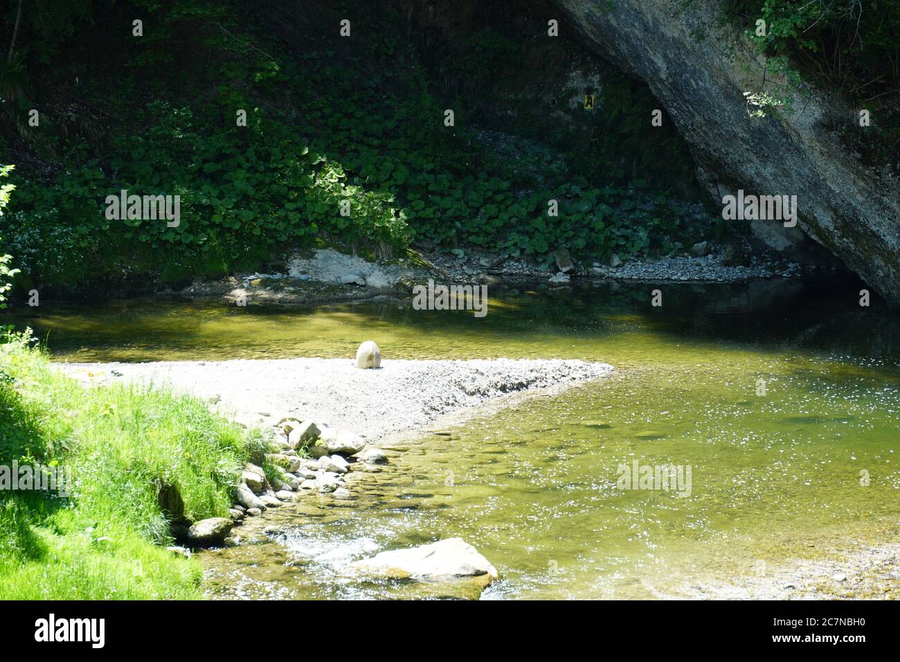 A small sandy bay in a shallow river enlightened by sun and contrasting ...