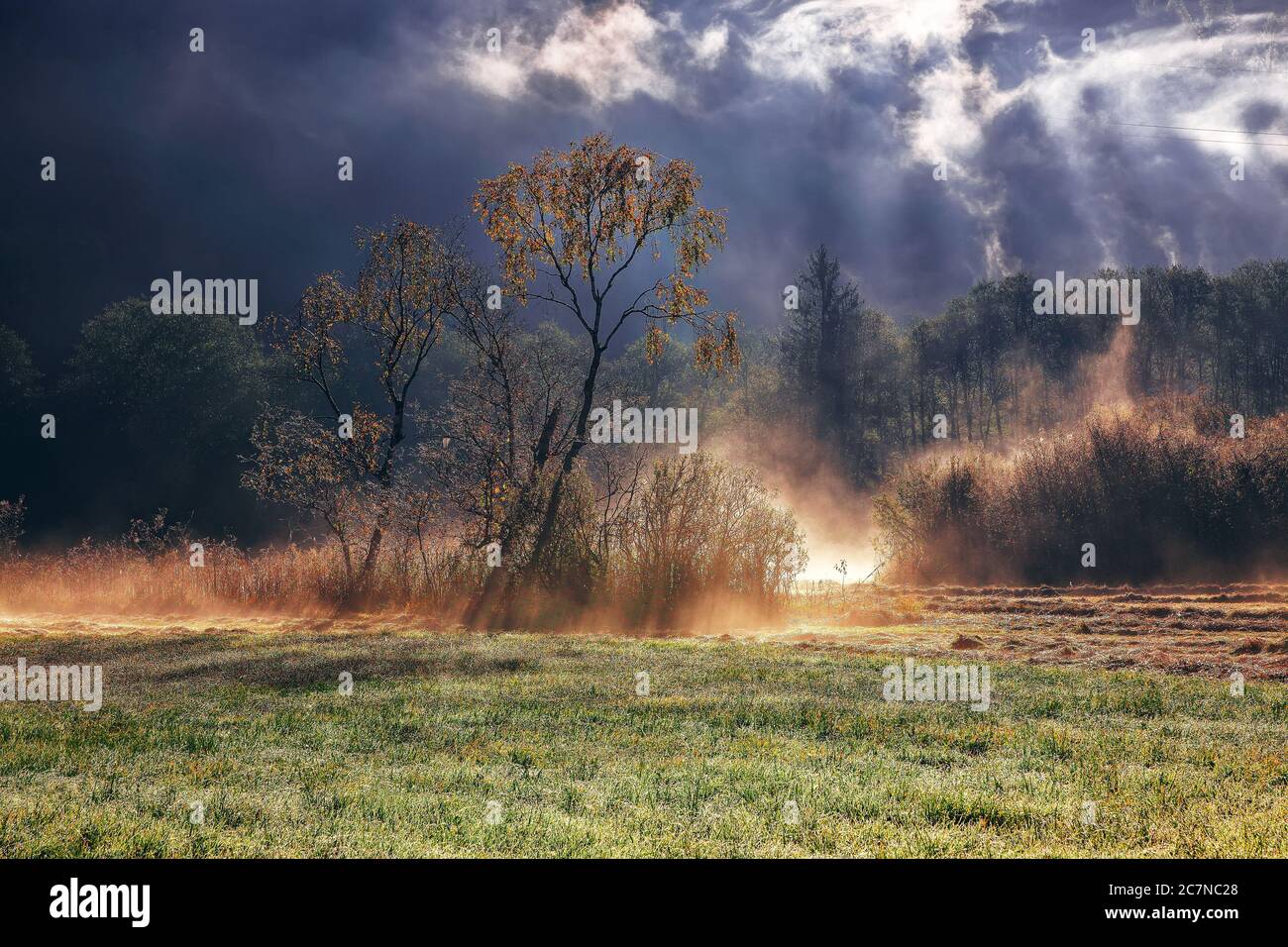 Spectacular autumn view of meadow in morning mist near Sell Am See ...