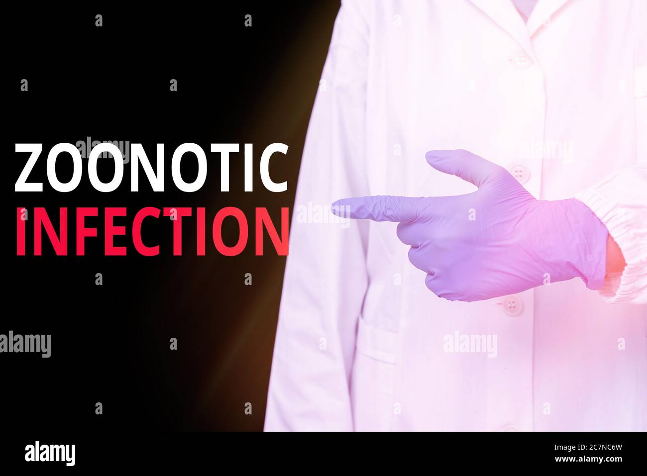 Word writing text Zoonotic Infection. Business photo showcasing ...