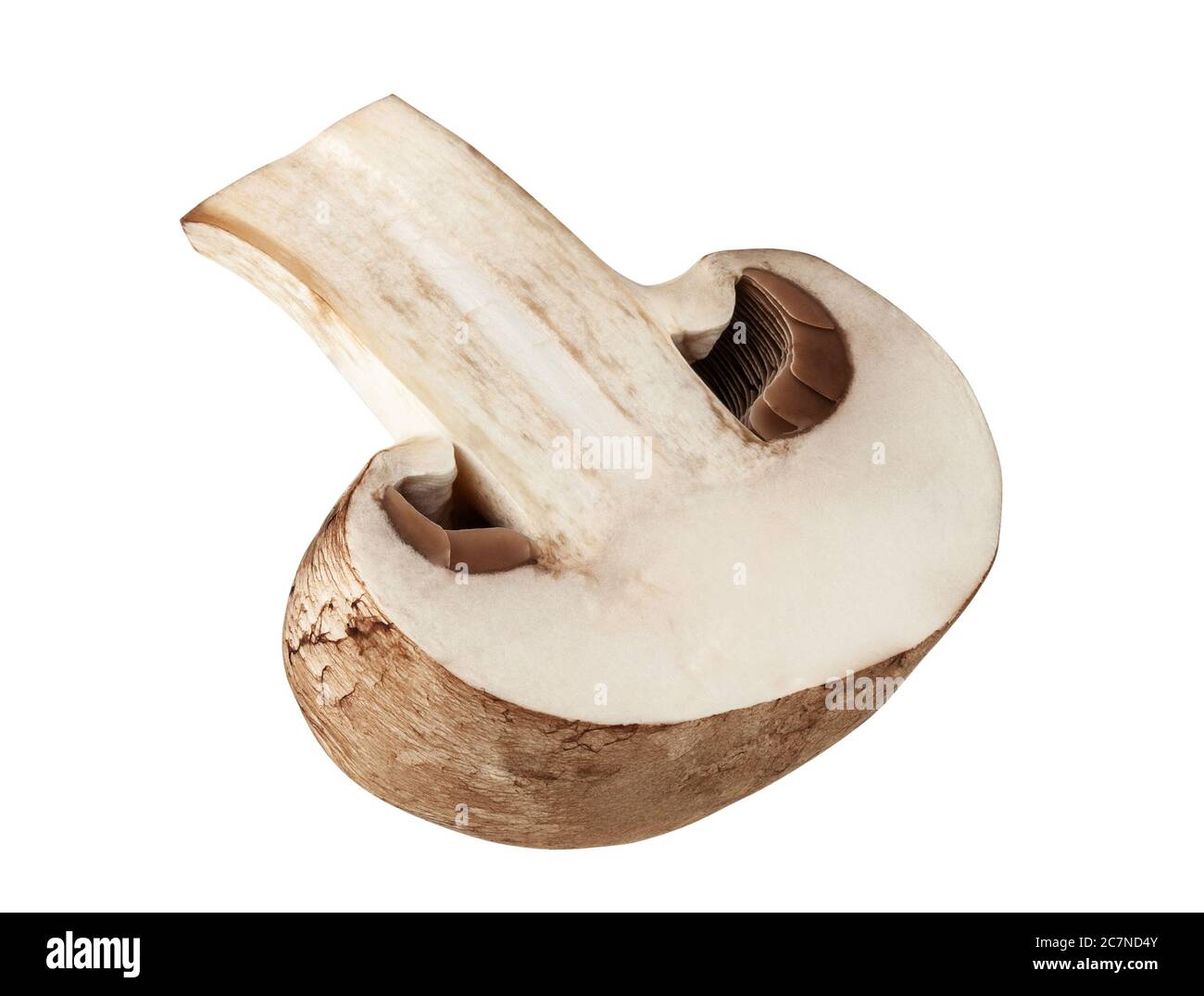 One fresh mushroom champignon cut in half isolated on white background ...