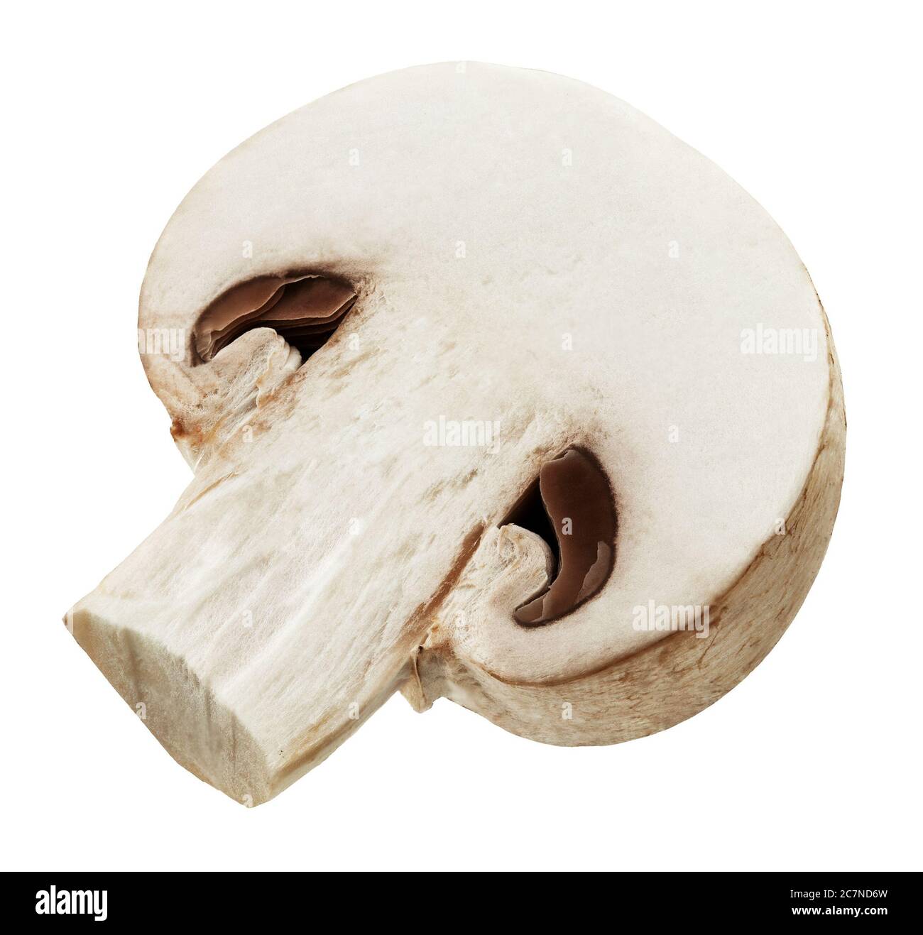 One fresh mushroom champignon cut in half isolated on white background ...