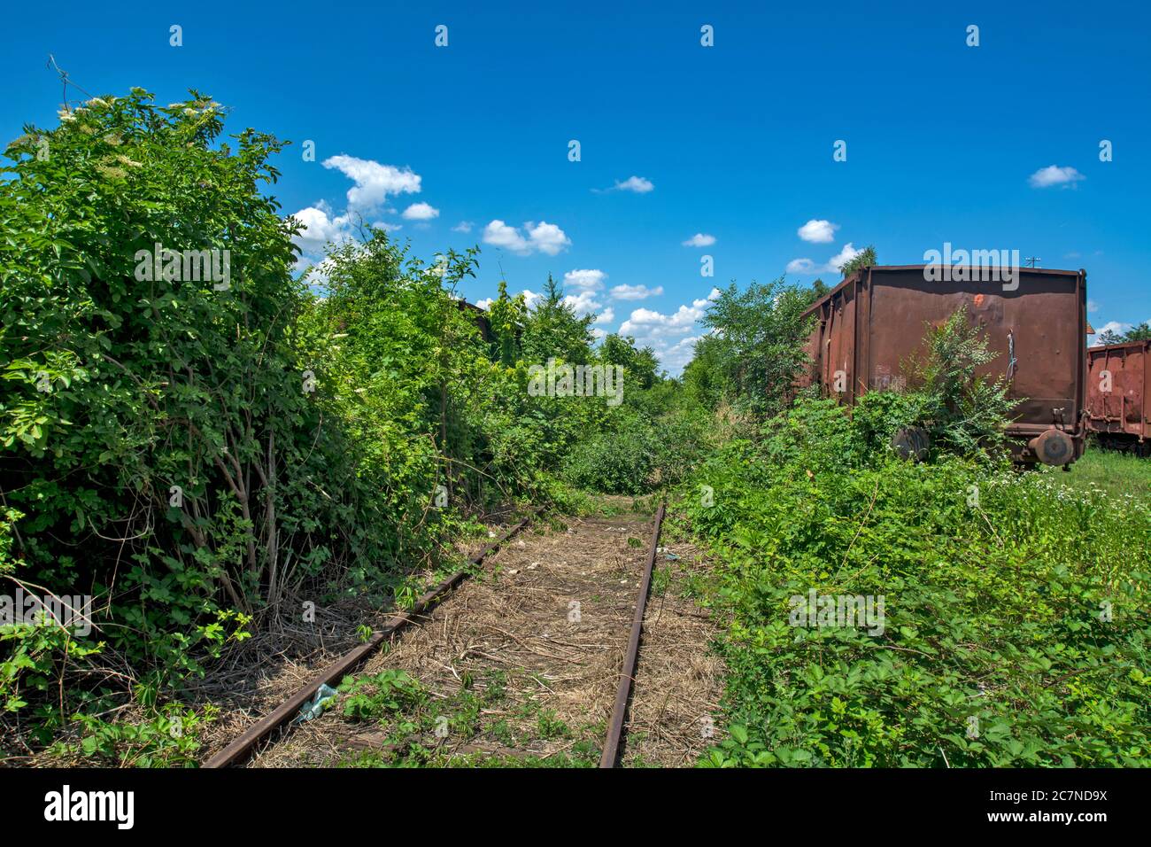 A sad picture of the railroad. The railway track and wagons in the ...