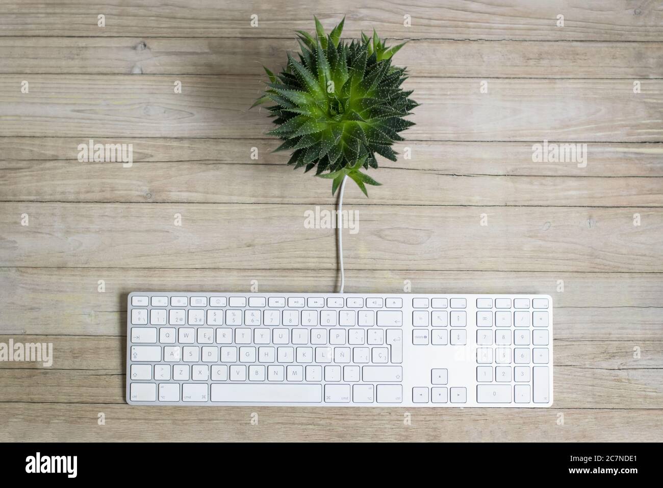 Overhead router hi-res stock photography and images - Alamy