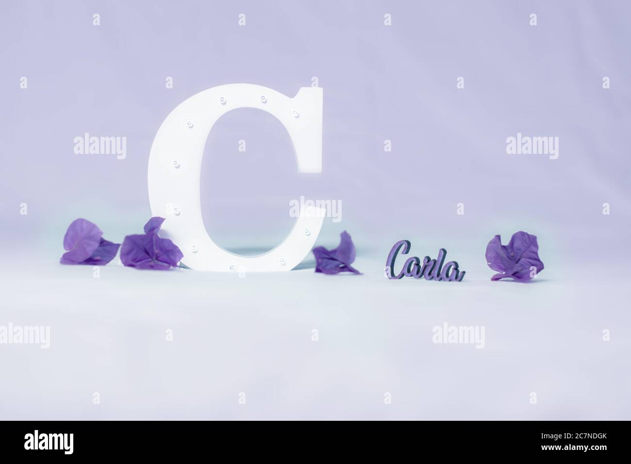 Closeup shot of the letter "C" with petals of purple flowers and the ...