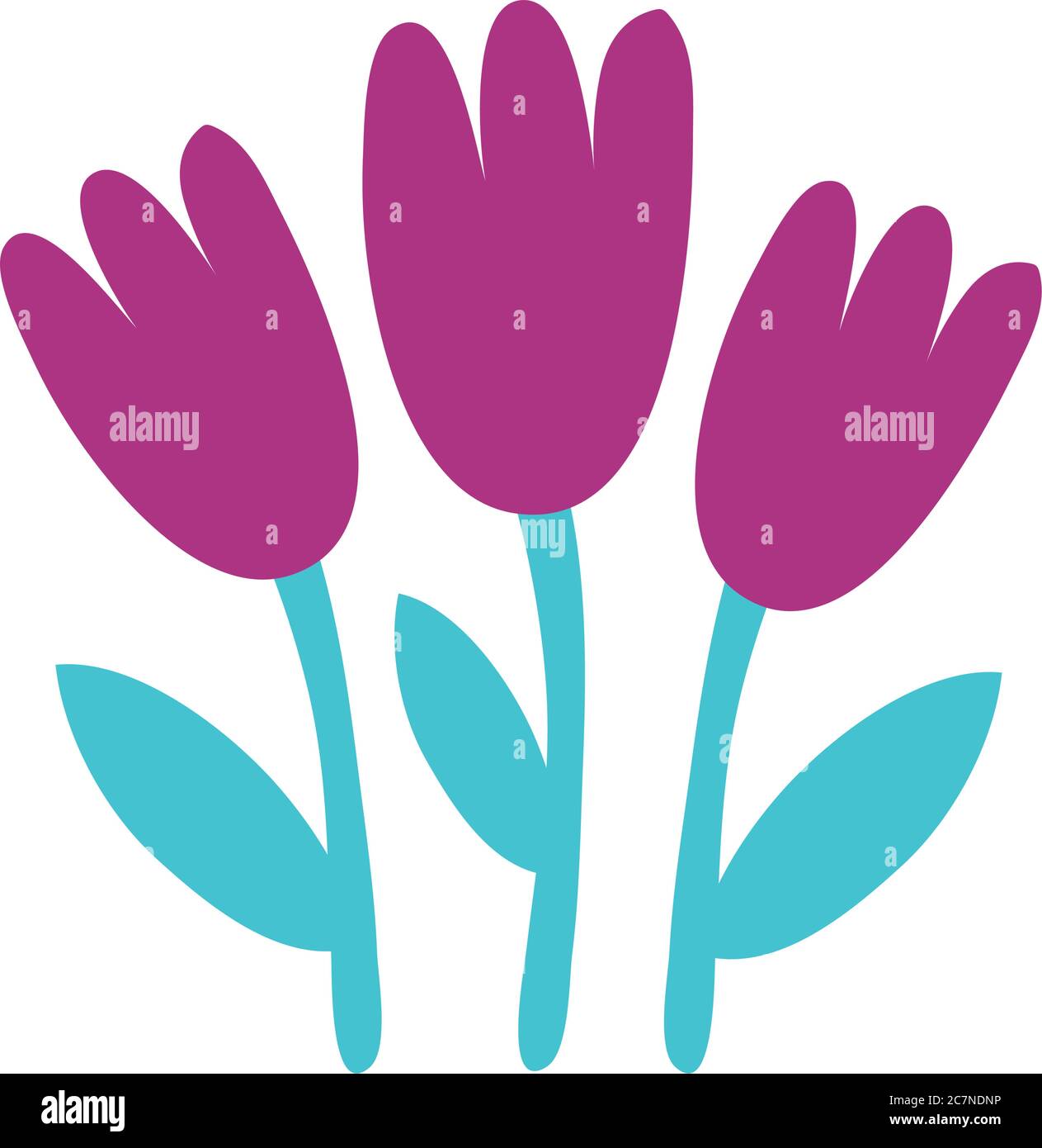Rosal flower Stock Vector Images - Alamy