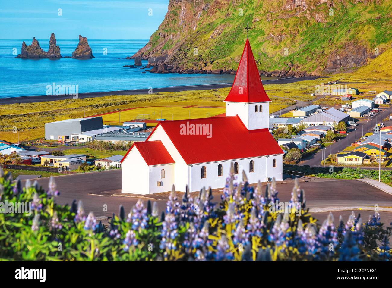 Splendid view of Vikurkirkja christian church in blooming lupine ...