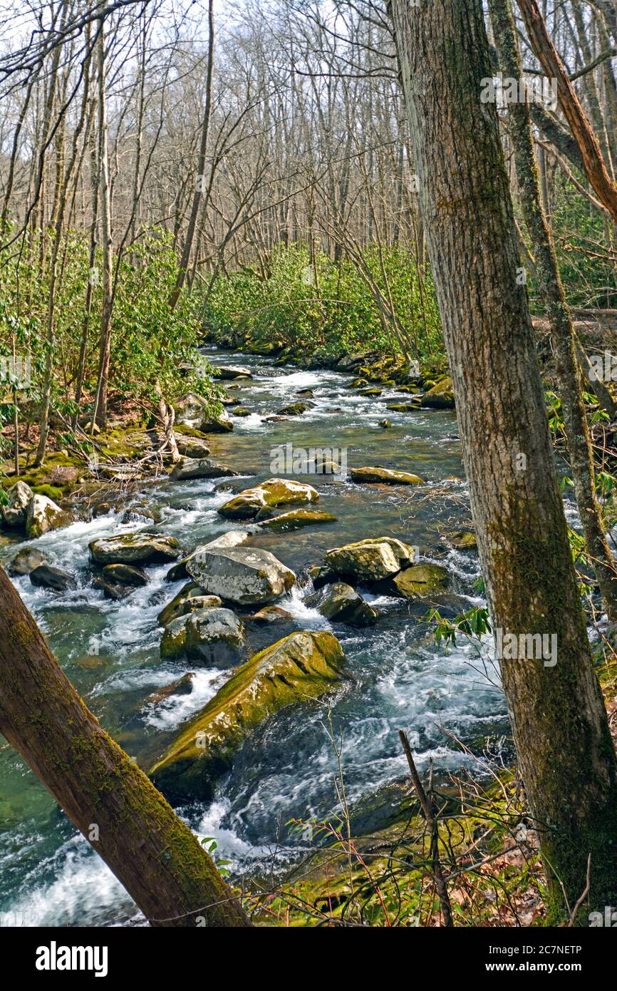 Little River in the Smoky Mountains in Early Spring in Tennessee Stock ...
