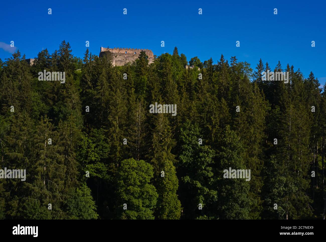 Peter burg hi-res stock photography and images - Alamy