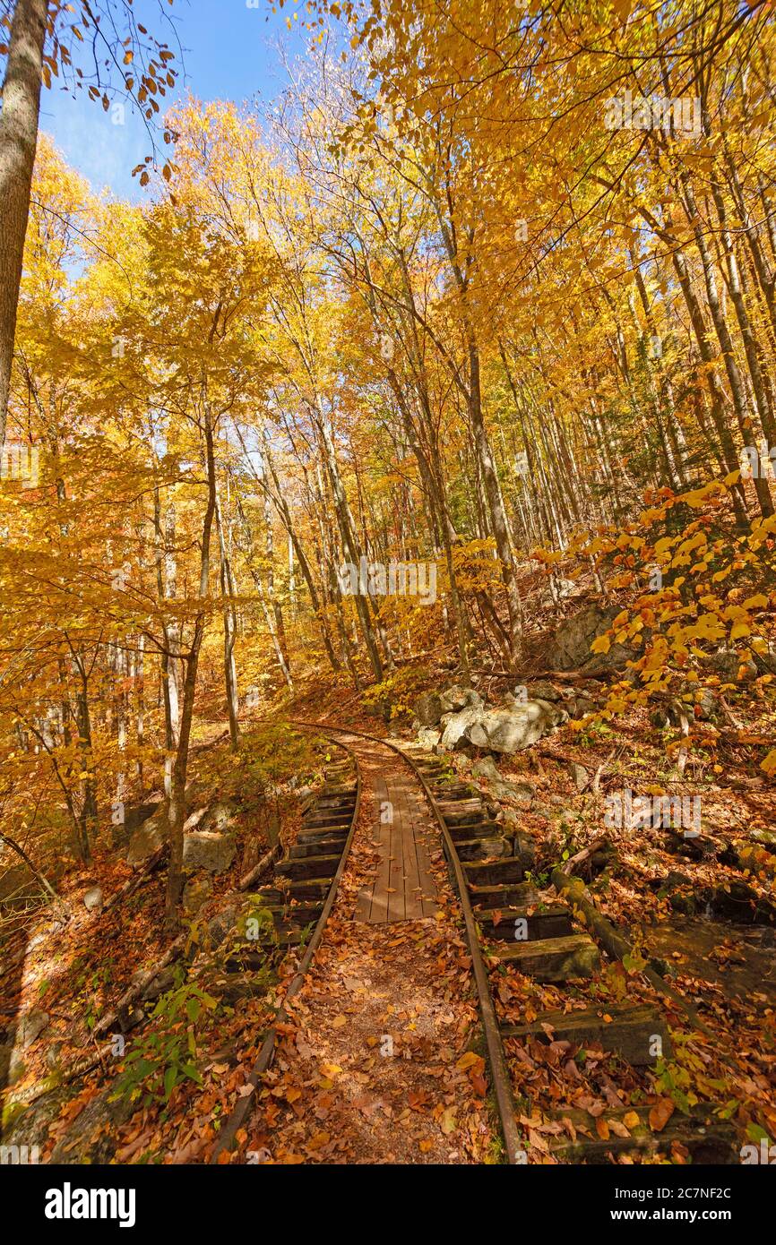 Old Railway in the Fall Forest along the Blue Ridge Parkway in Virginia ...