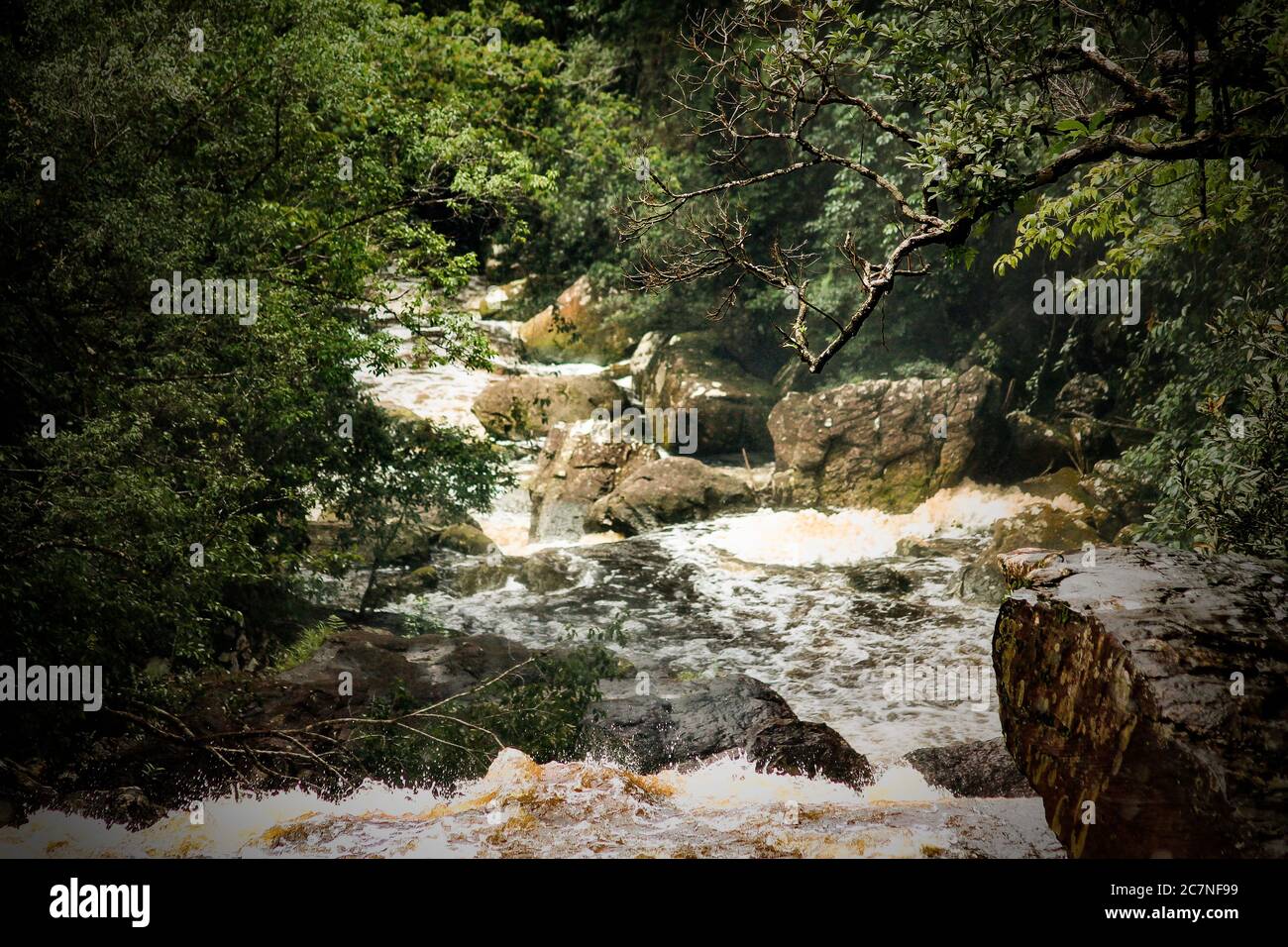 Powerful water stream through the forest in Kampot, Cambodia Stock ...