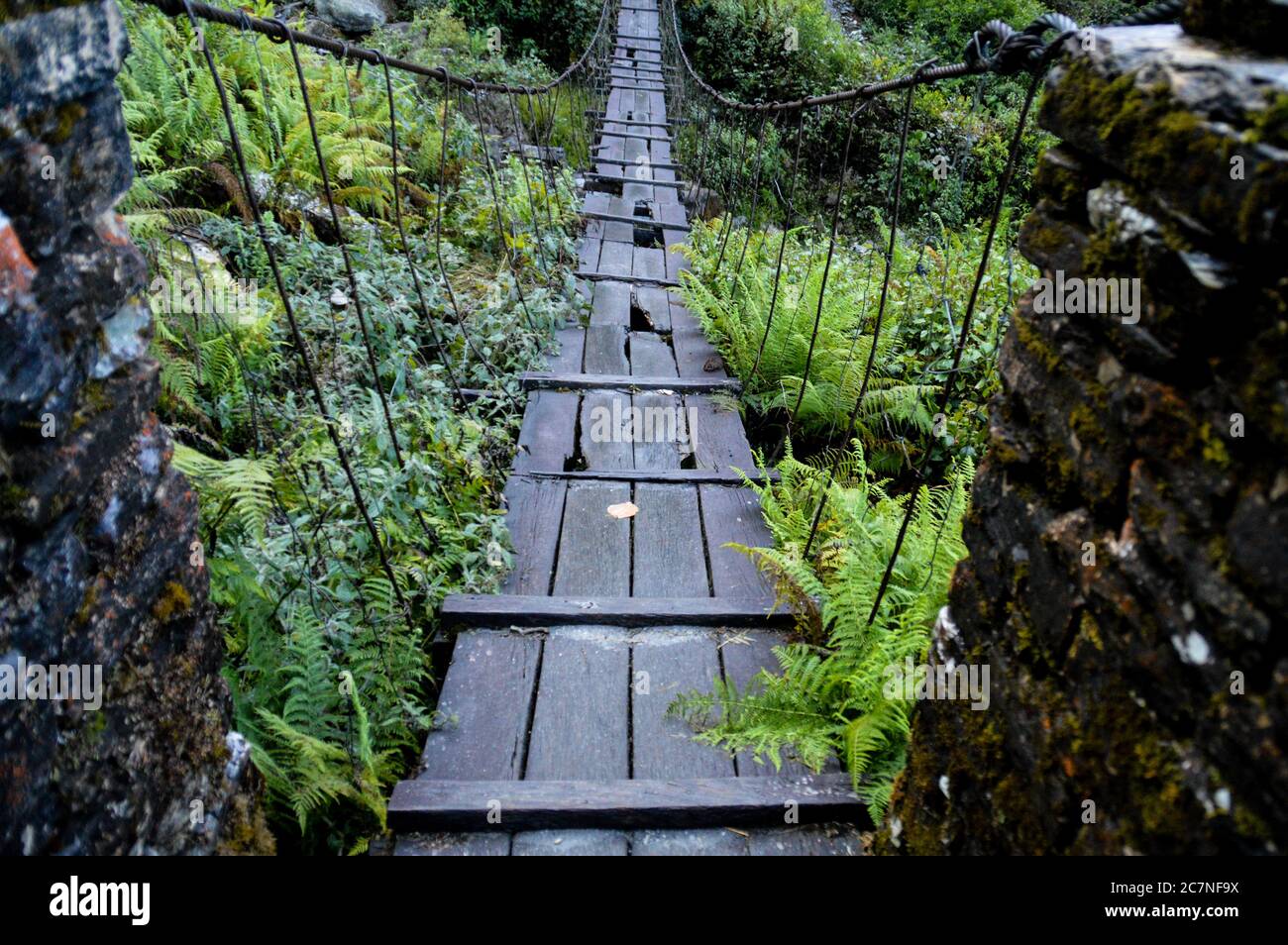 Old pedestrian bridge in a natural environment Stock Photo - Alamy